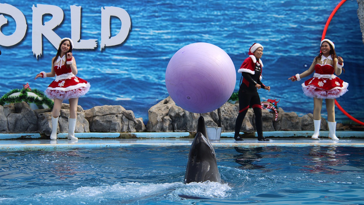 Safari World Bangkok Thai Resident