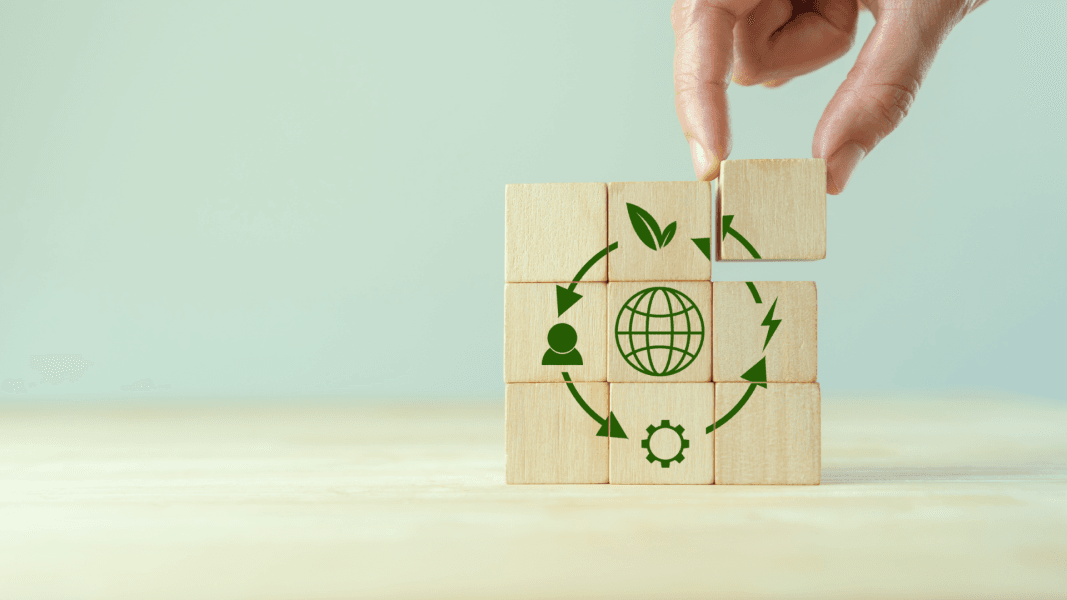 Selling A Business: Circular Business Practices And Their Impact On ...