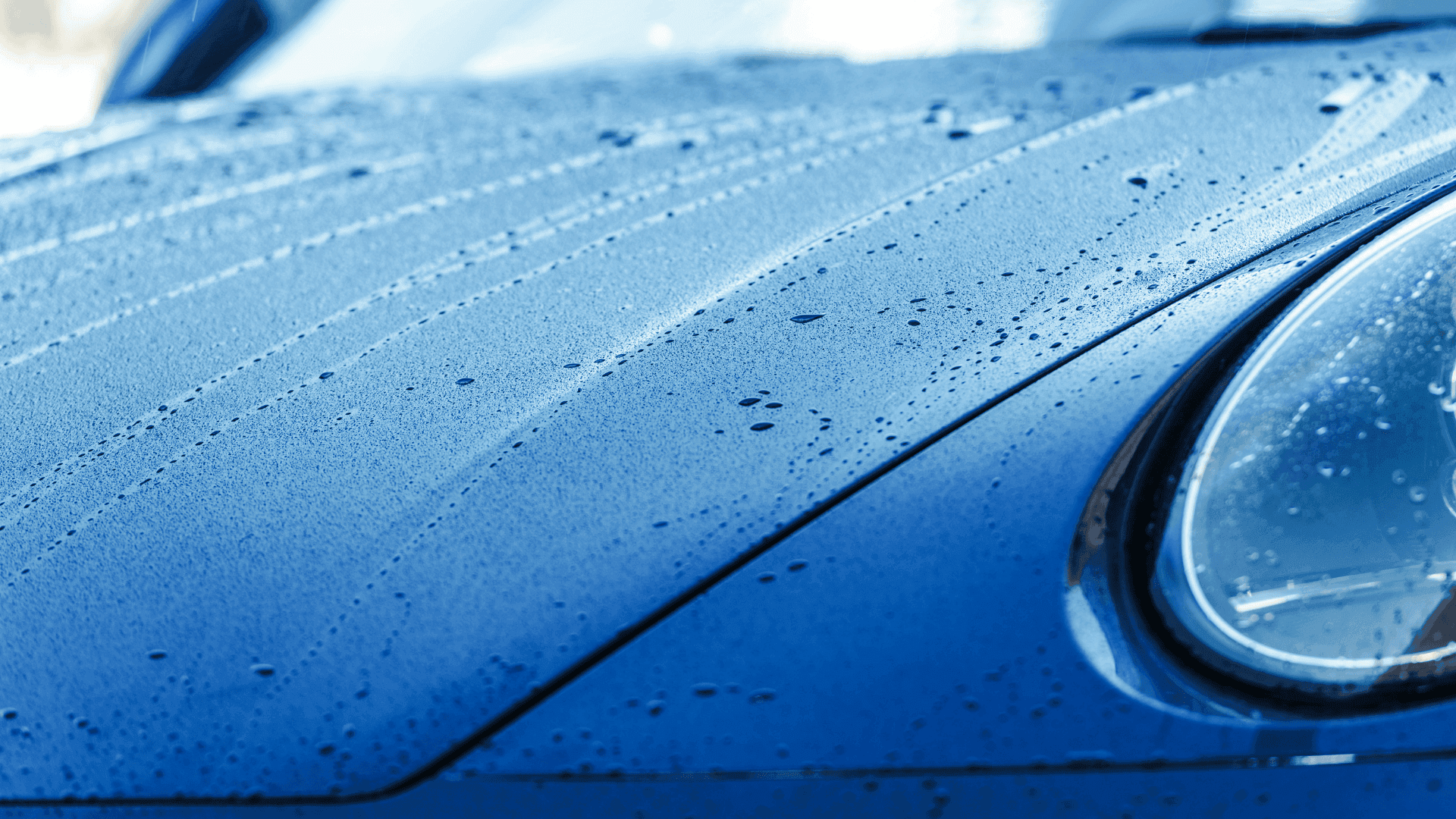 The Fine Print That Protects Your Finish: What a PPF Warranty Really Covers